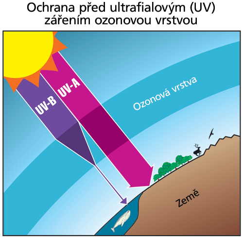 Dopad stenčovania ozónovej vrstvy :: Narušenie ozónovej vrstvy a jej význam pre životné prostredie